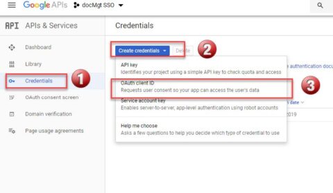 How To Configure Google for SSO - DocMgt